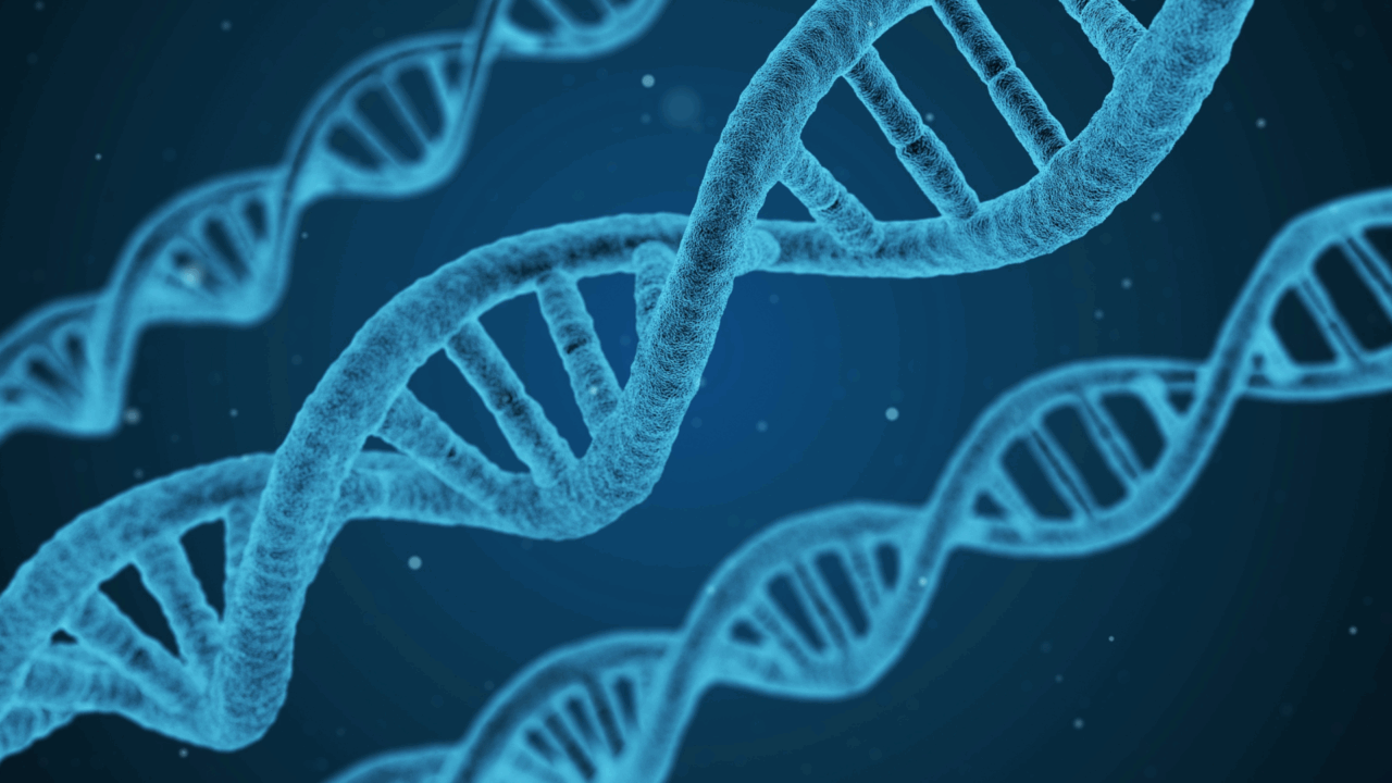 Boost Immunity, Slow Aging: NK Exosome Breakthroughs | Dr. Supatra Tovar